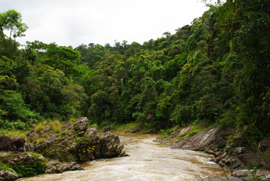 Visite du parc de Ranomafana à Madagascar - Voyager en photos