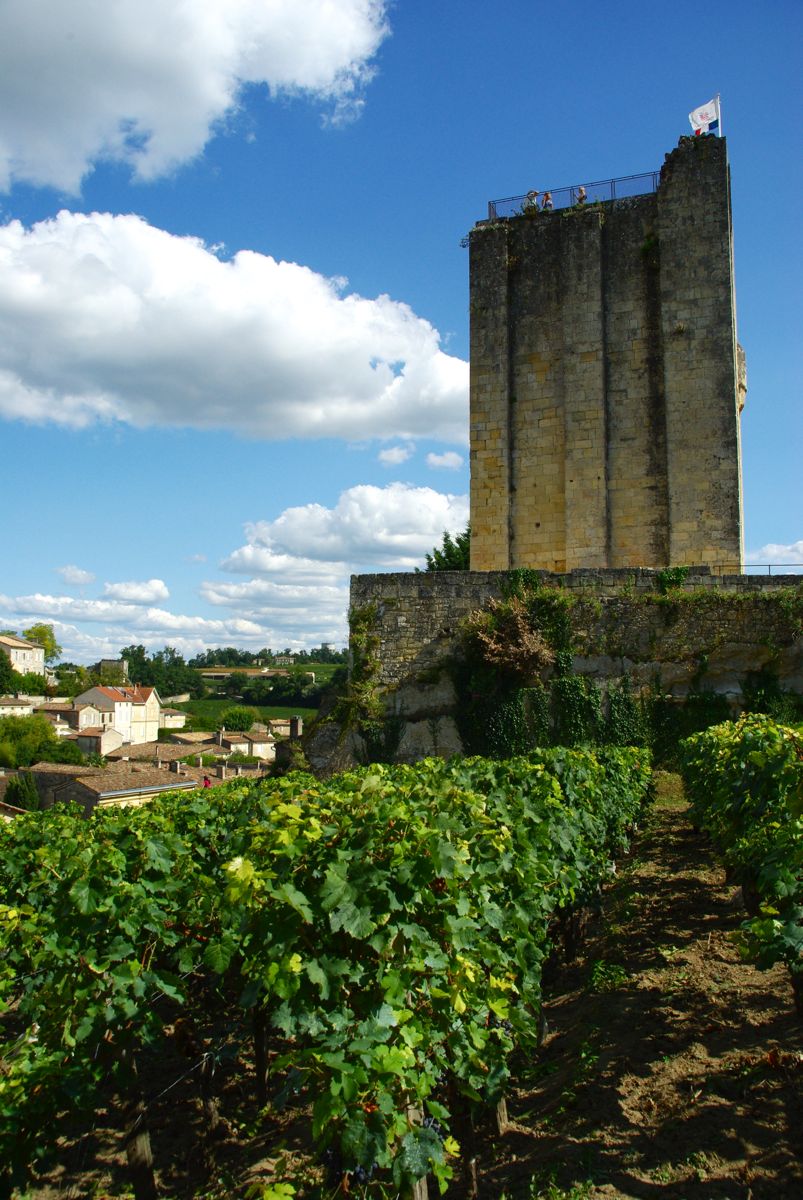 Saint-Emilion : un village médiéval au coeur des vignobles