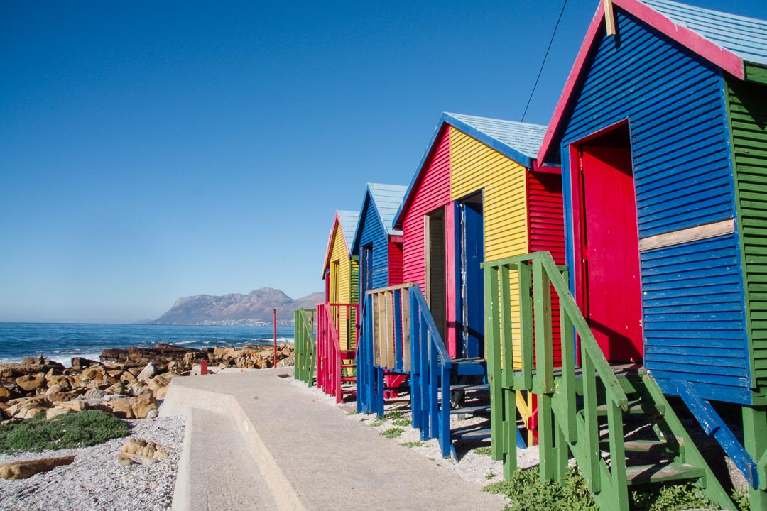 Le Top 5 des choses à faire pour visiter la péninsule du Cap en une ...