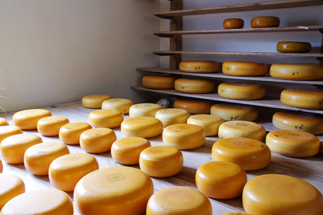 La Vallée du Fromage : à la découverte des fromages fermiers de Gouda ...