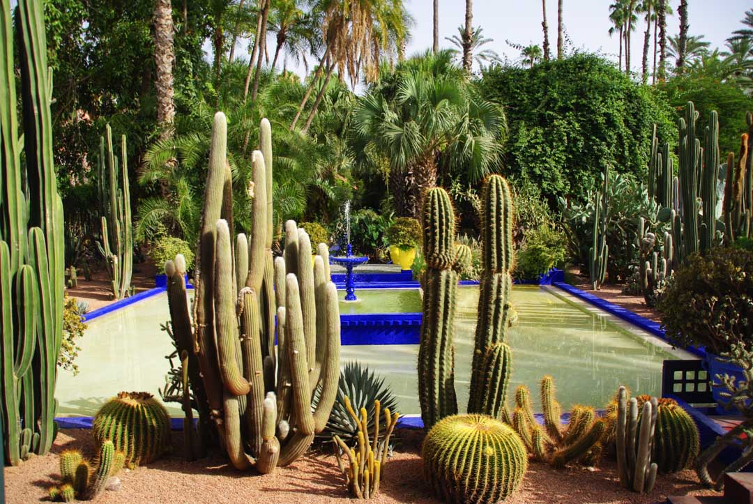 Que voir à Marrakech en quelques jours ? - Voyager en photos - blog voyage