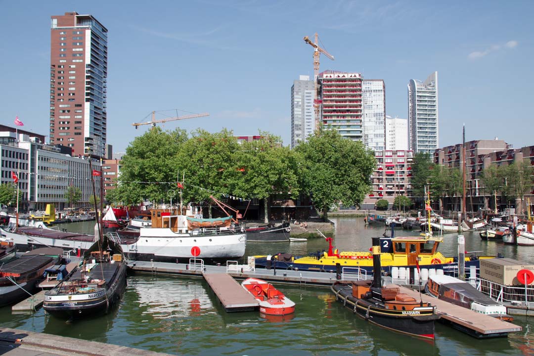 Que faire à Rotterdam ? Le guide ultime pour visiter Rotterdam en 1 ...