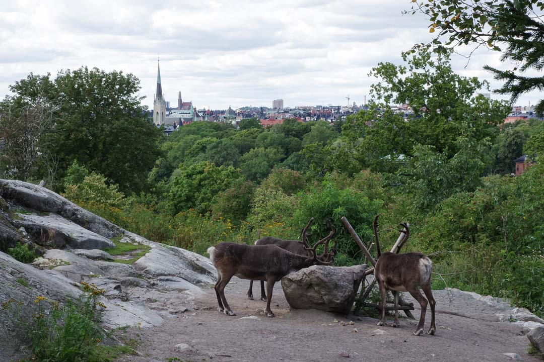 Visite de Skansen, le Musée en plein air de Stockholm - Voyager en ...