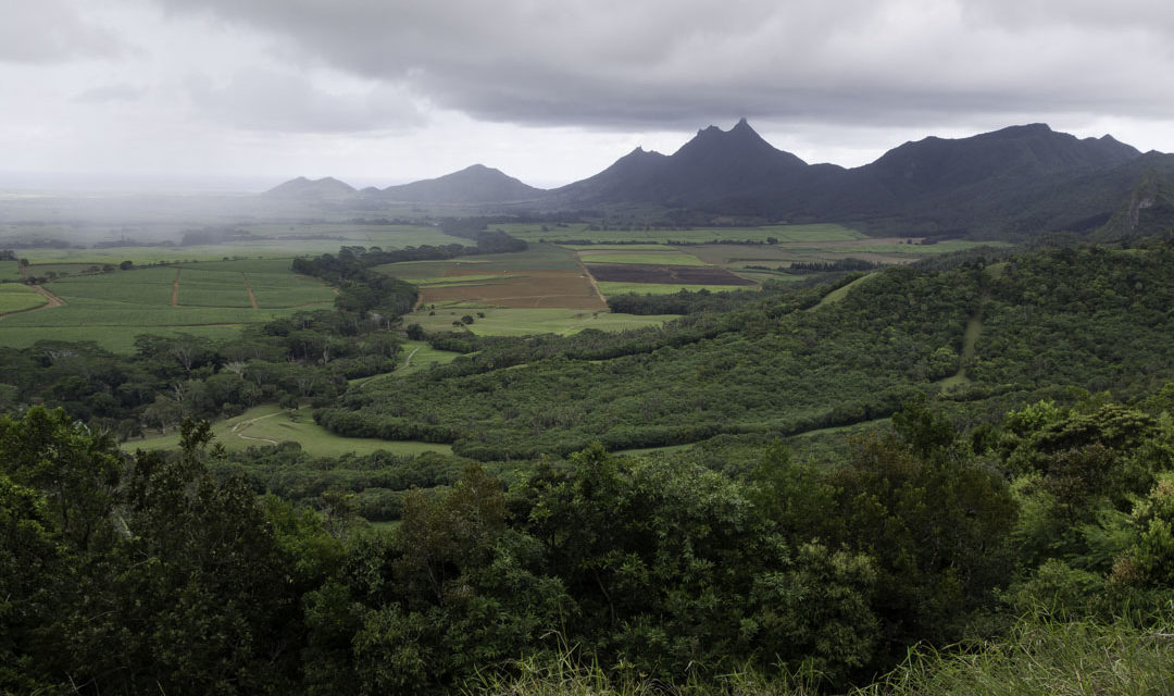 7 choses incontournables à voir dans le Nord de l'Ile Maurice - Voyager ...