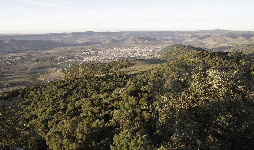 2 jours de randonnée dans le Moyen Atlas autour d'Azrou - Voyager en ...