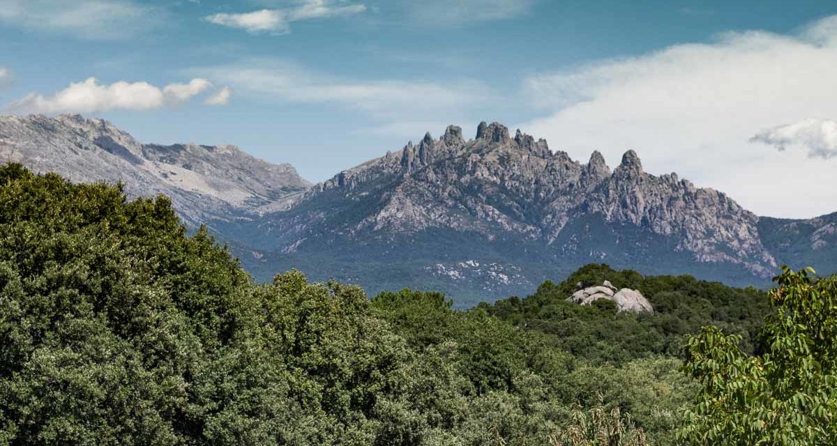 Que voir dans la région de l'Alta Rocca en Corse ? - Voyager en photos ...