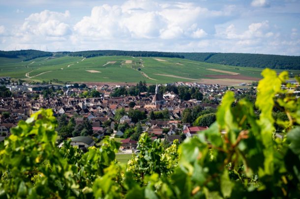 Que faire à Chablis et ses environs en un week-end ? - Voyager en ...