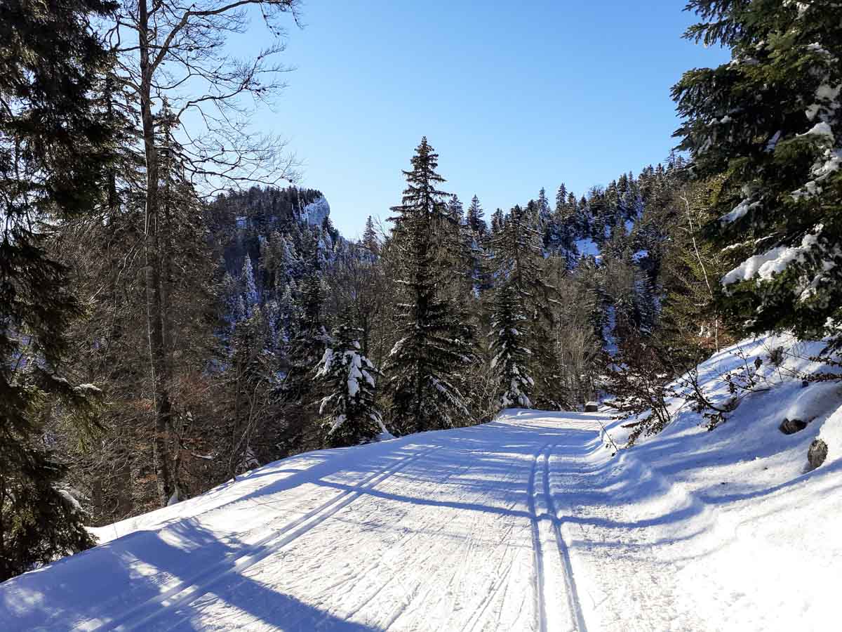 Le Domaine Nordique Autrans-Méaudre en hiver : le paradis du ski de ...