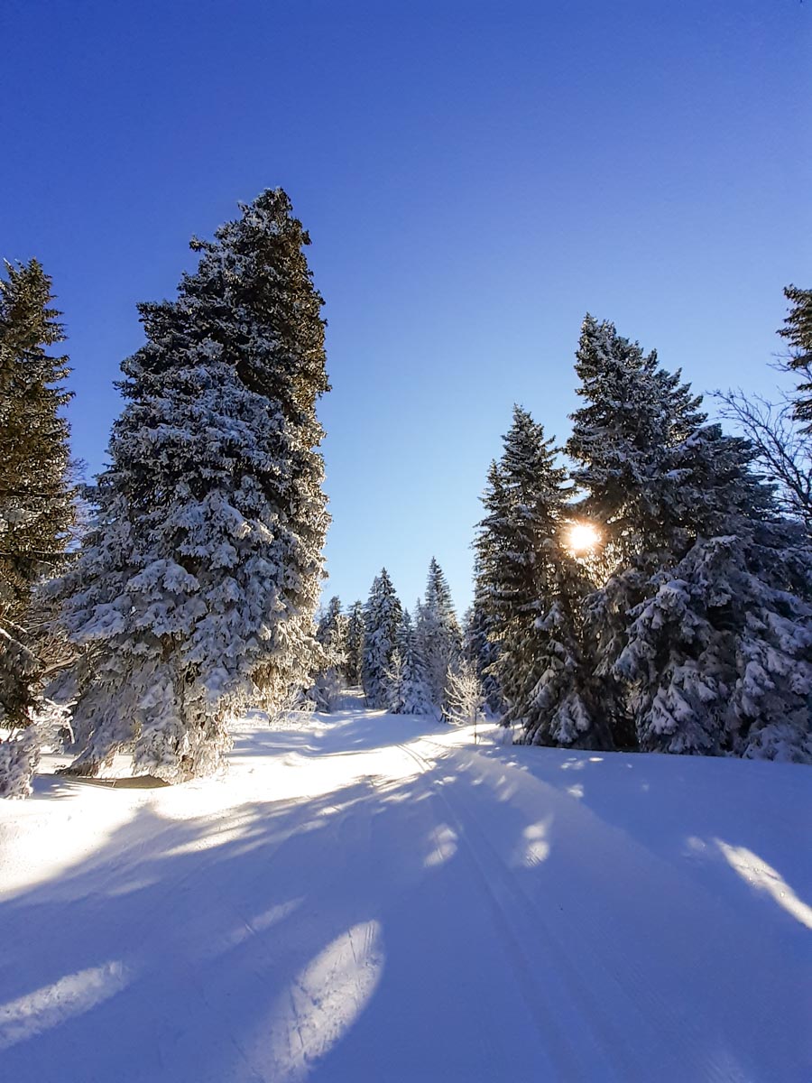 Le Domaine Nordique Autrans-Méaudre en hiver : le paradis du ski de ...