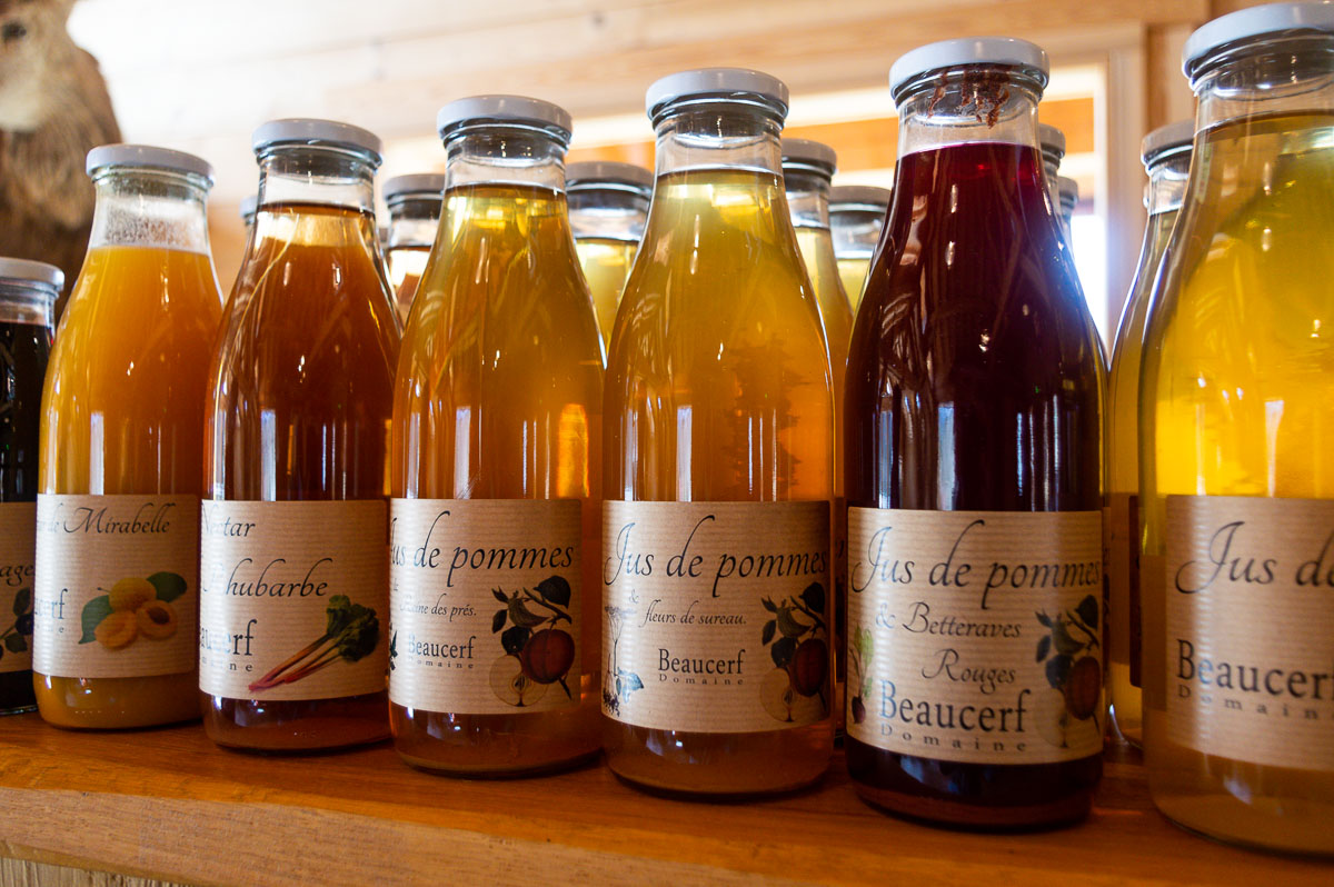 Que faire autour de La Bresse dans les Hautes-Vosges ? - Voyager en ...