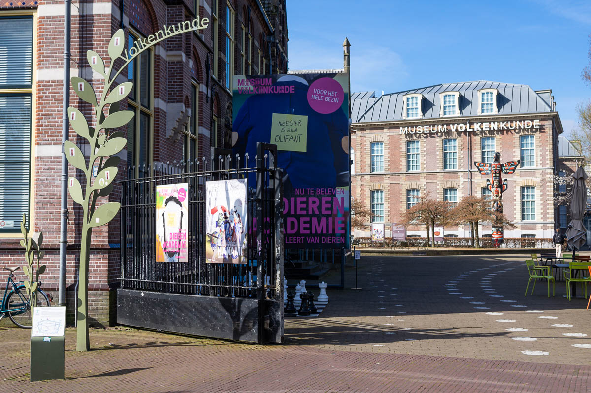 Que faire à Leyde en un week-end ? - Voyager en photos - blog voyage