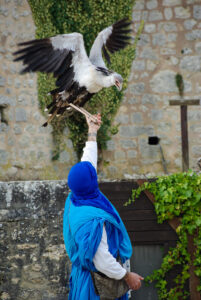 Visiter la cité médiévale de Provins en 1 jour - Voyager en Photos