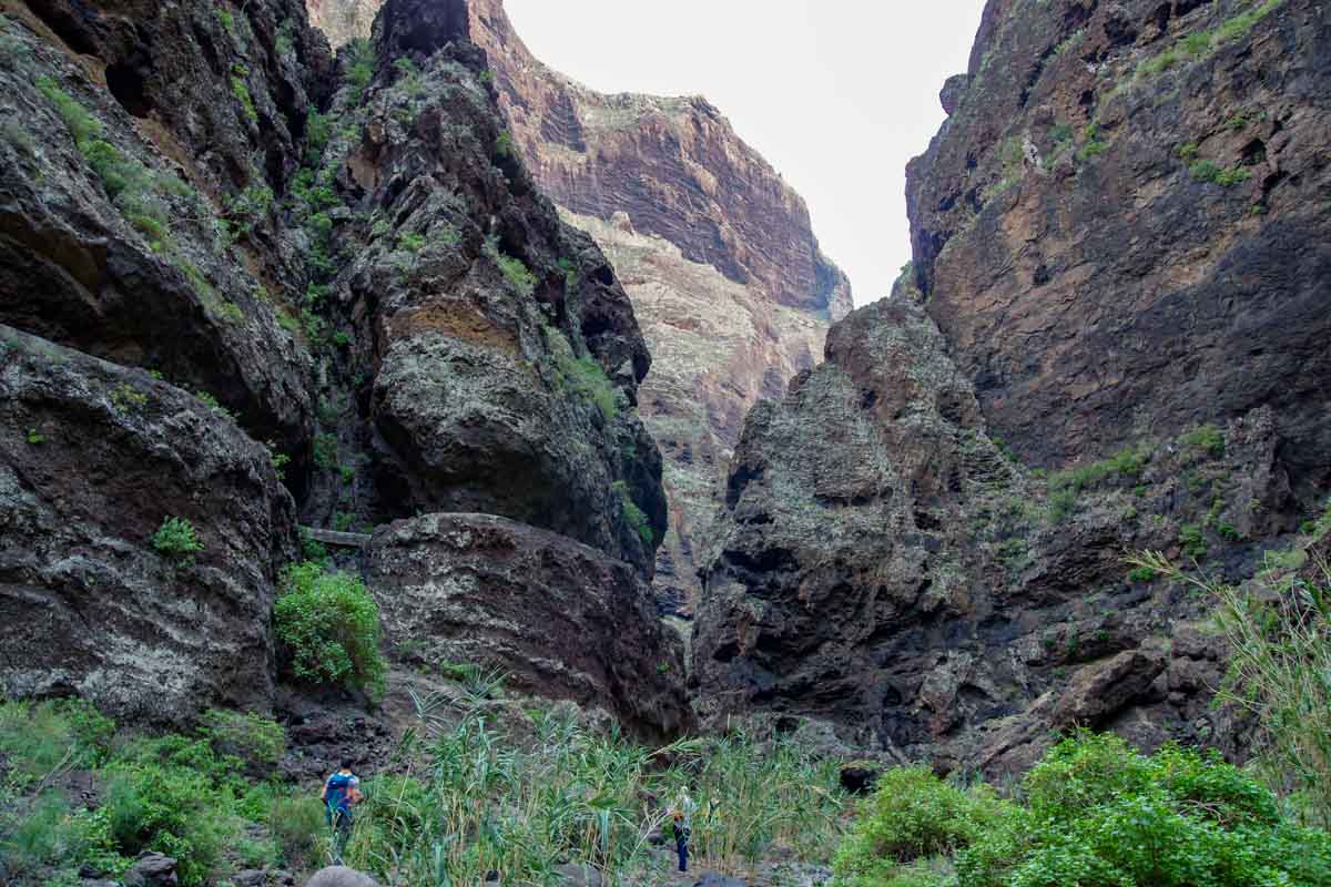 Tout savoir sur la randonnée des Gorges de Masca à Tenerife - Voyager ...
